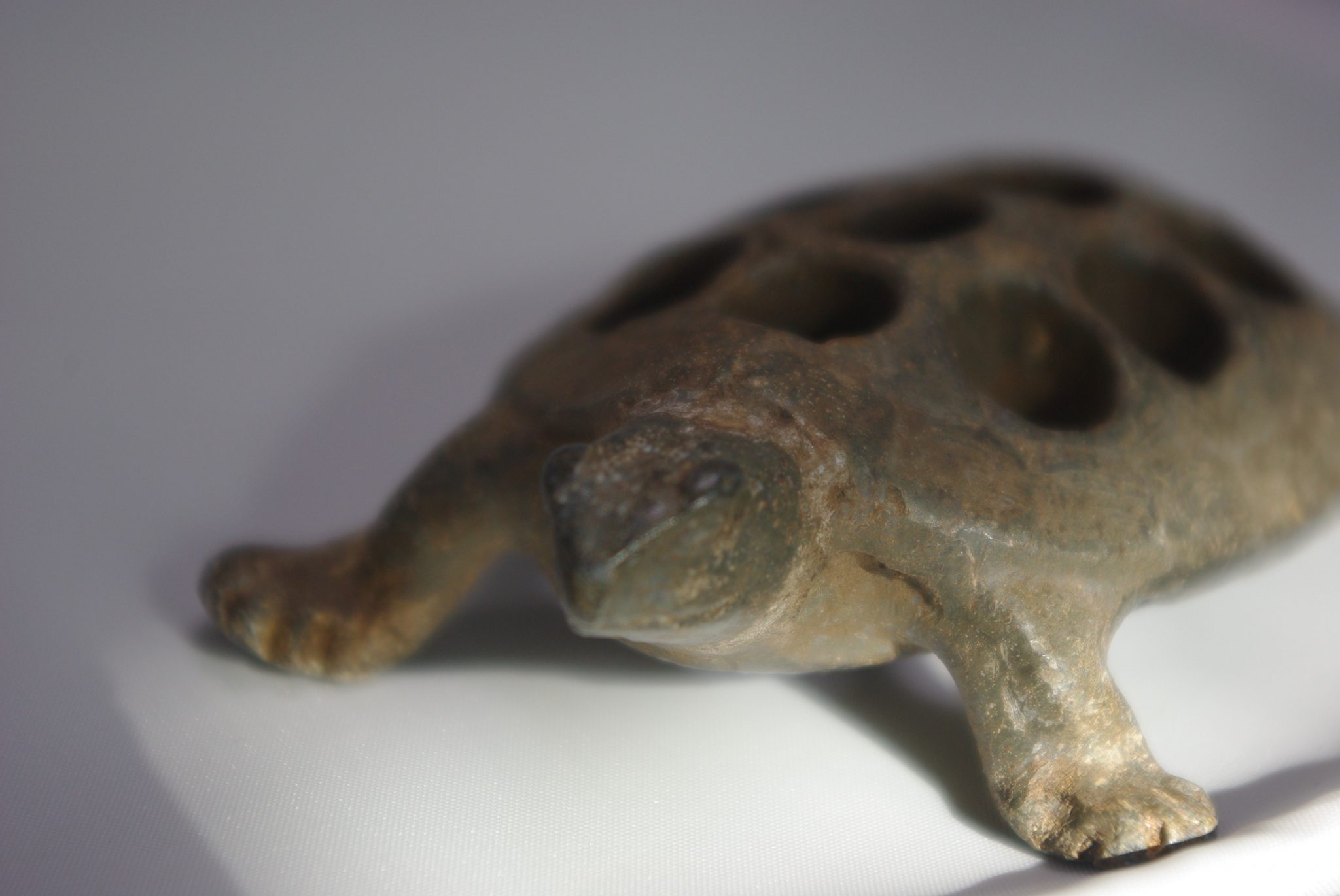 When is a Turtle a Frog? - Eldon House