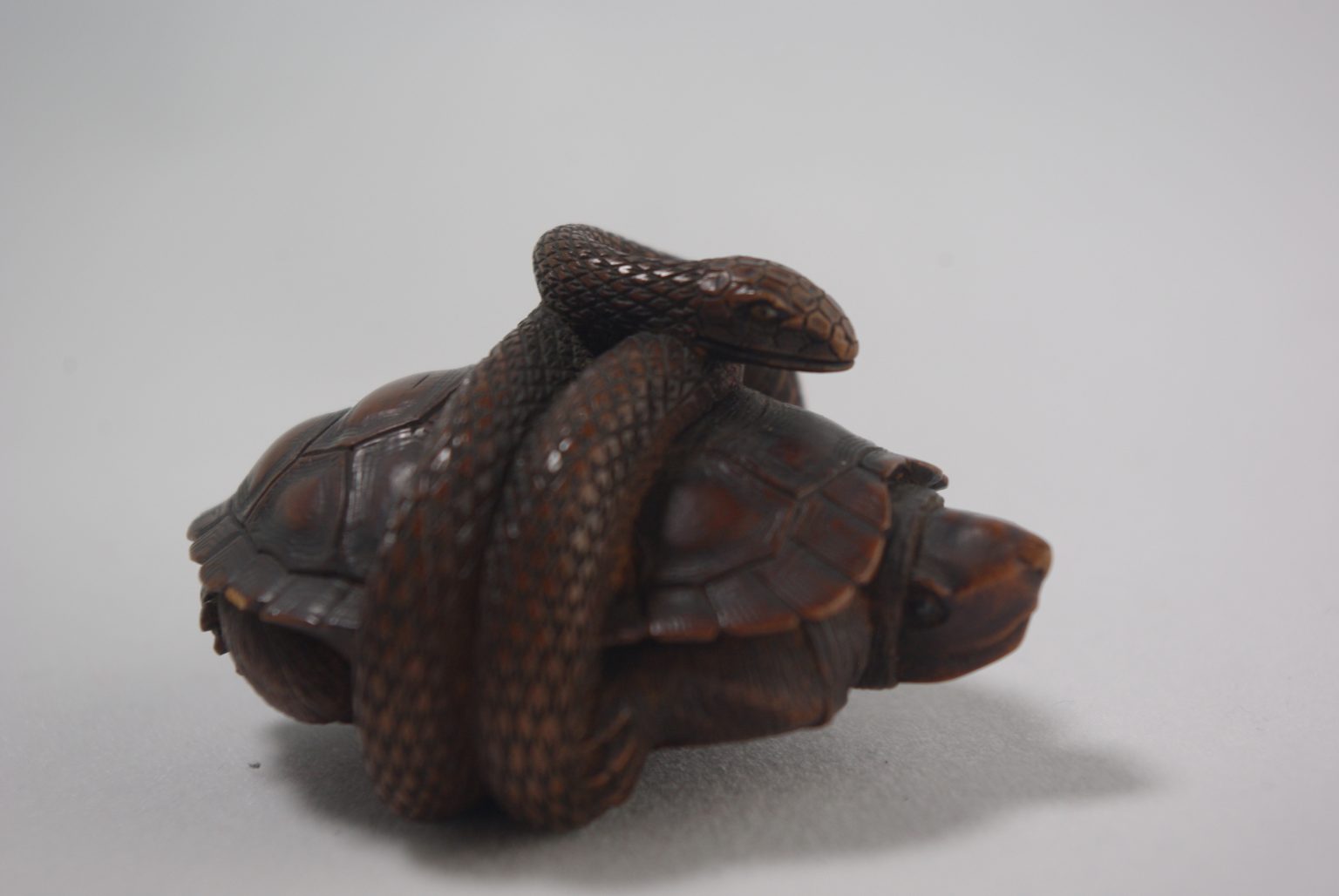 Turtle Netsuke - Eldon House
