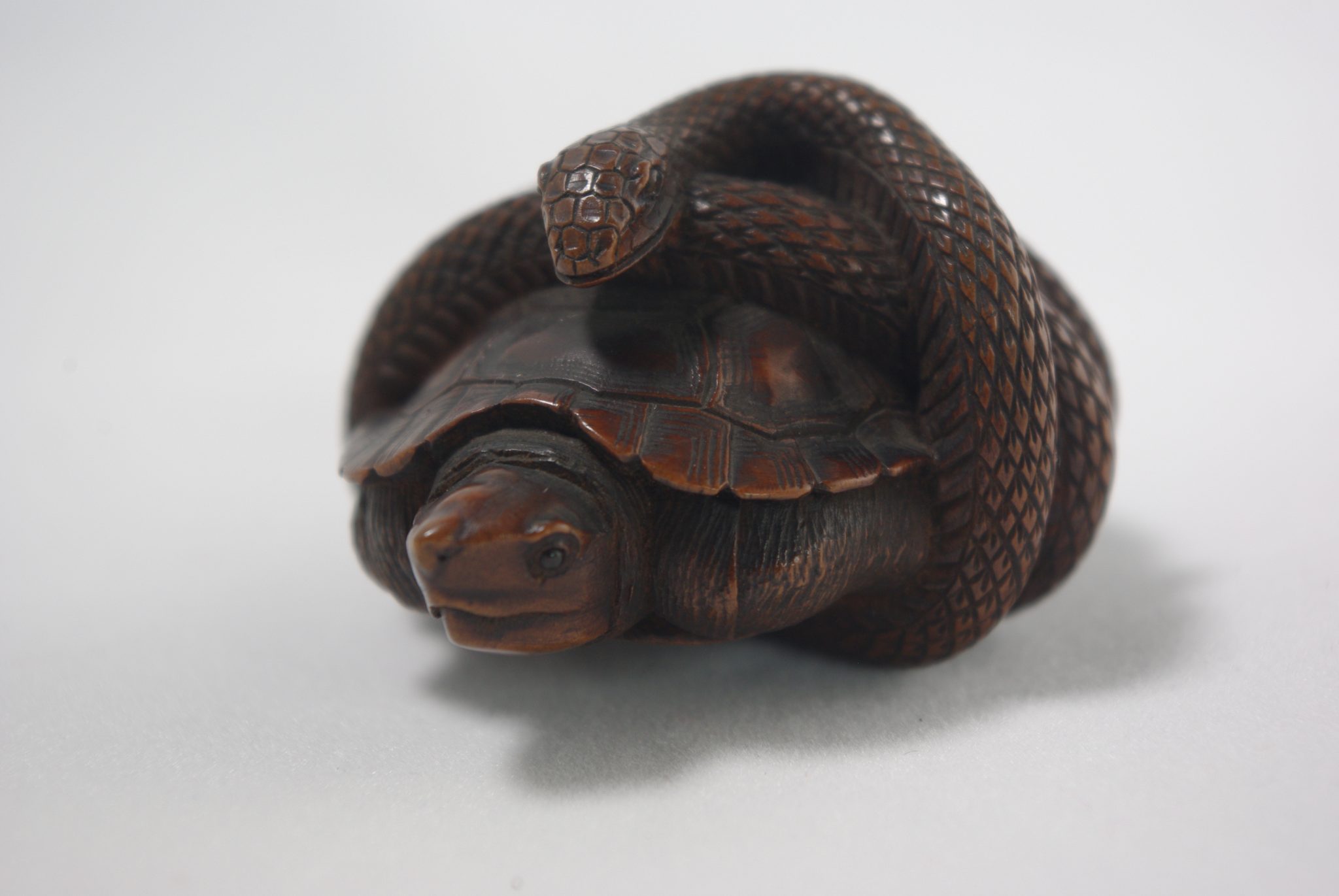 Turtle Netsuke - Eldon House