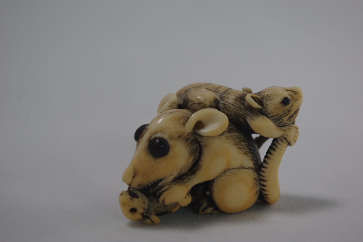Rat Netsuke - Eldon House